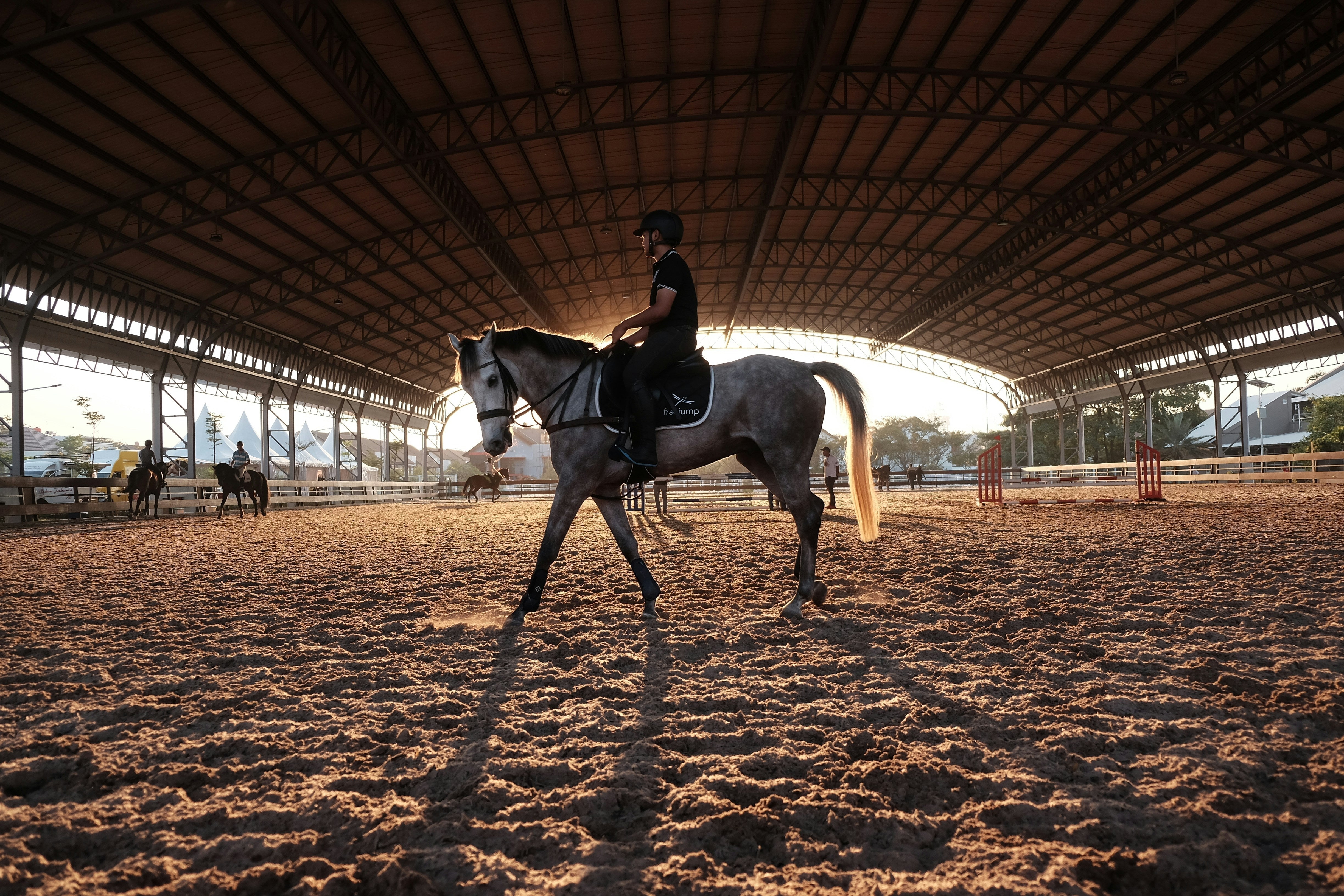 Is It Normal For My Horse to Feel Different After a Soft Tissue Injury ...